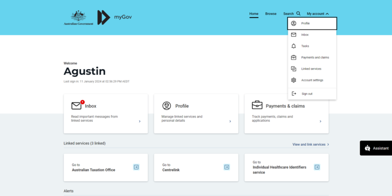 How to Link Your MyGov Account to ATO Services - Pro Tax | Living the ...